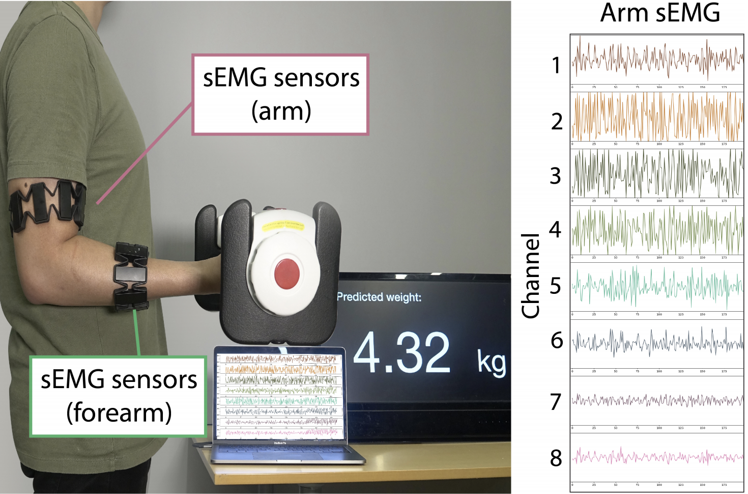 MuscleSense – NTU HCI Lab