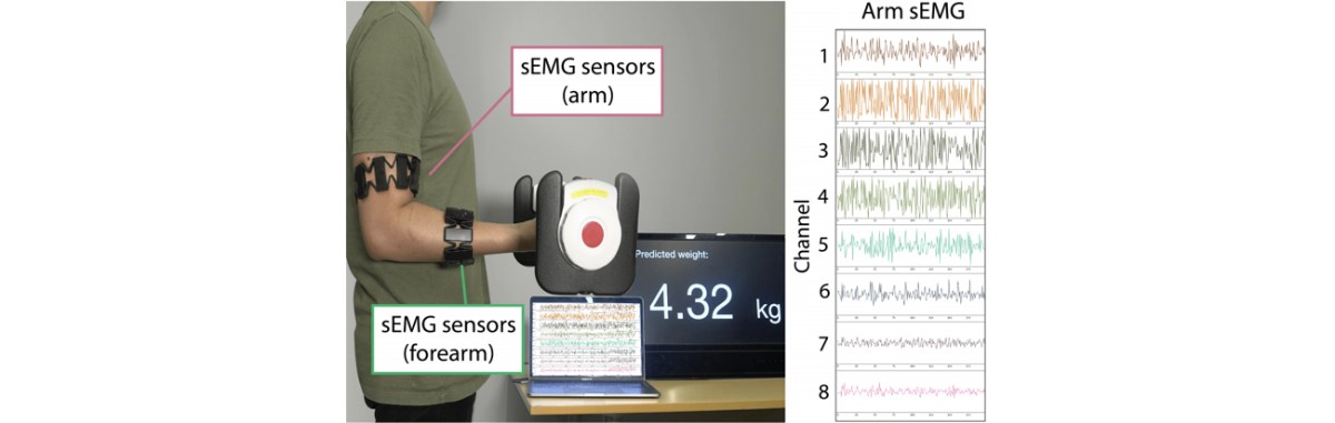 MuscleSense – NTU HCI Lab